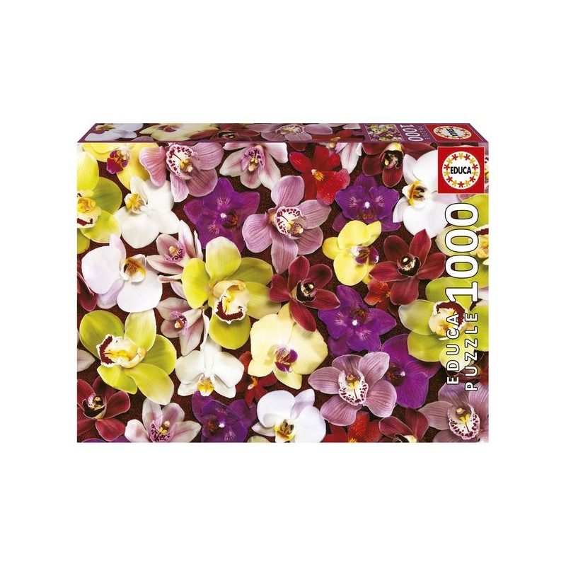 EDUCA-1000 COLLAGE ORCHIDÉES